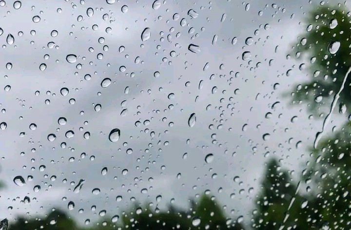 Chân ái | Thảo luận 247